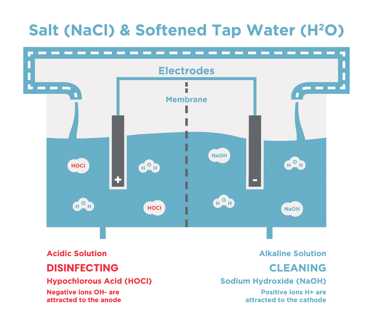Harnessing the Power of Electrolyzed Water: Revolutionizing Cleaning ...