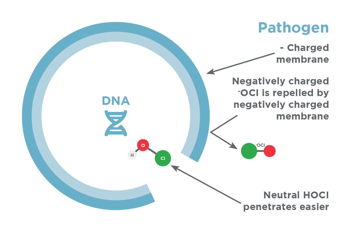 How electrolysis can generate effective cleaning solutions without ...