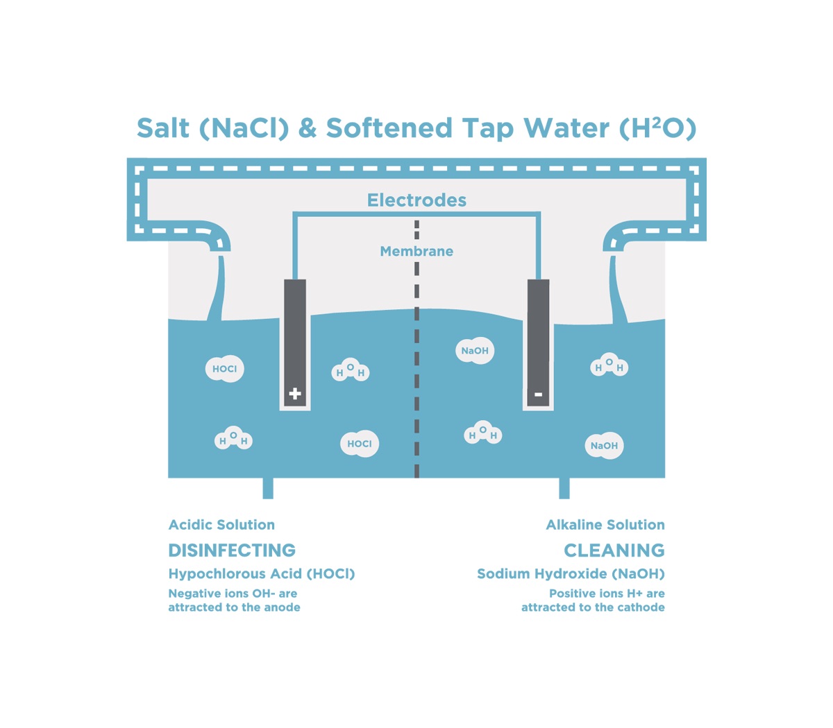 Infographic: The Science of Electrolyzed Water - Viking Pure Solutions ...
